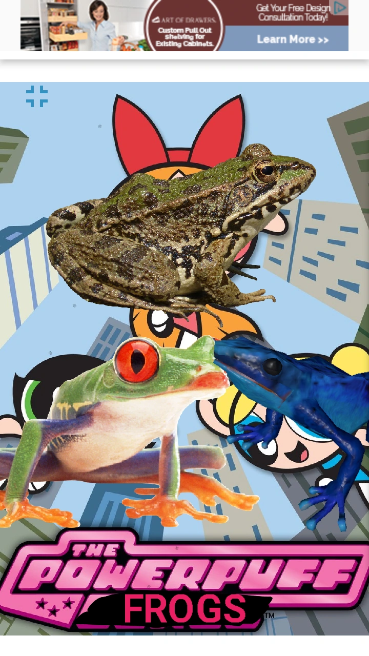 The Powerpuff Frogs | The Parody Wiki | Fandom
