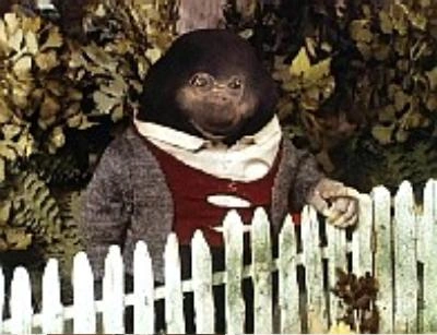 Mr Mole (Cosgrove Hall) | The Parody Wiki | Fandom