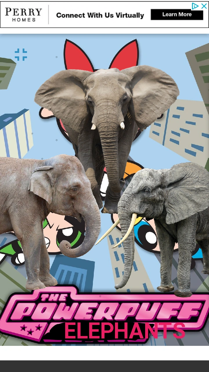 The Powerpuff Elephants | The Parody Wiki | Fandom