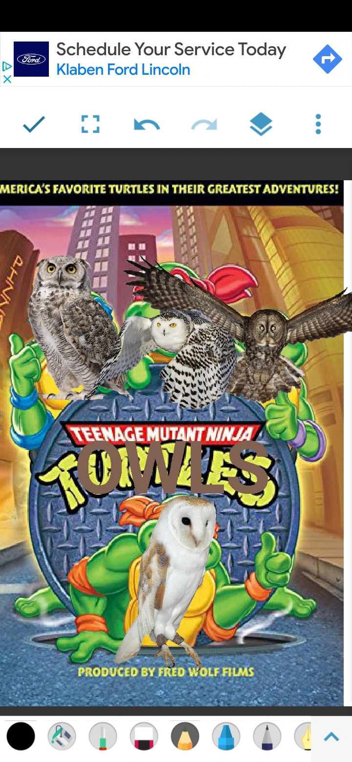 Teenage Mutant Ninja Owls (NatureRules1 and Samwei1234 Version) | The ...