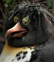 Big Z | The Parody Wiki | Fandom