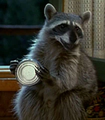 Raccoon (character) | The Parody Wiki | Fandom