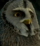 Charlie Brown (Shrek) 1-4 | The Parody Wiki | Fandom