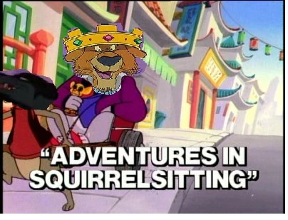 Adventures in Squirrelsitting (Baloo & Yogi Rescue Rangers) | The ...