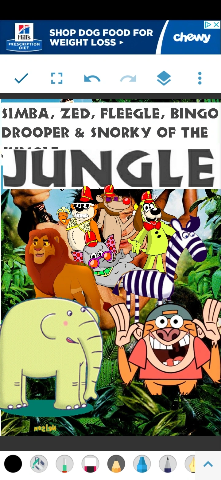 Simba, Zed, Fleegle, Bingo, Drooper and Snorky of The Jungle | The ...