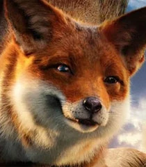 Tutu the Fox | The Parody Wiki | Fandom