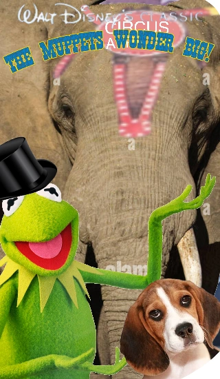 User blog:Christopher Borja Sánchez/Opening to muppet wonder big! 2003 ...