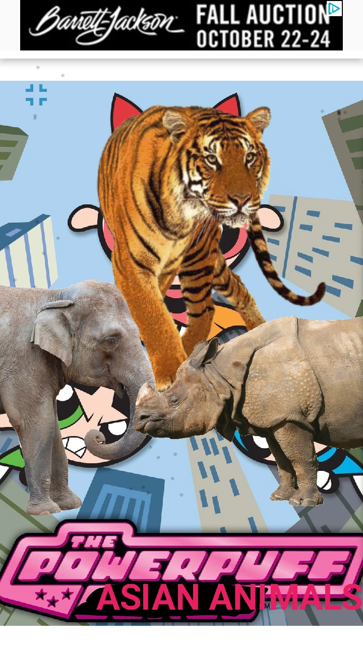 The Powerpuff Asian Animals | The Parody Wiki | Fandom