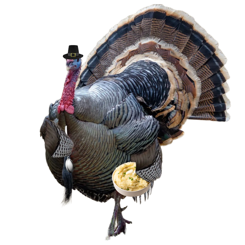 Pilgrim Wild Turkey | The Parody Wiki | Fandom
