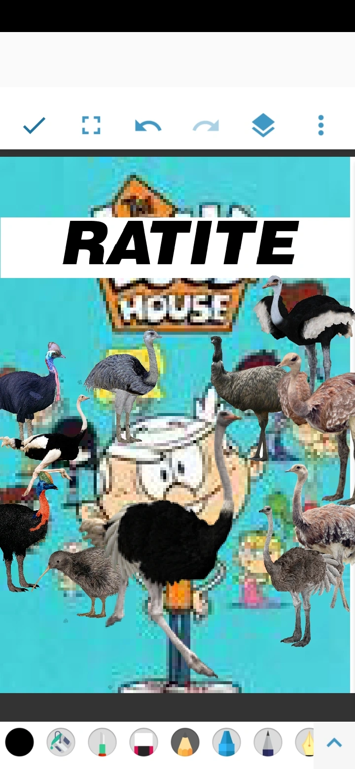 The Ratite House | The Parody Wiki | Fandom