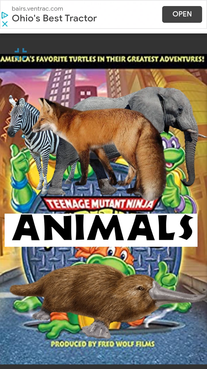 Teenage Mutant Ninja Cows