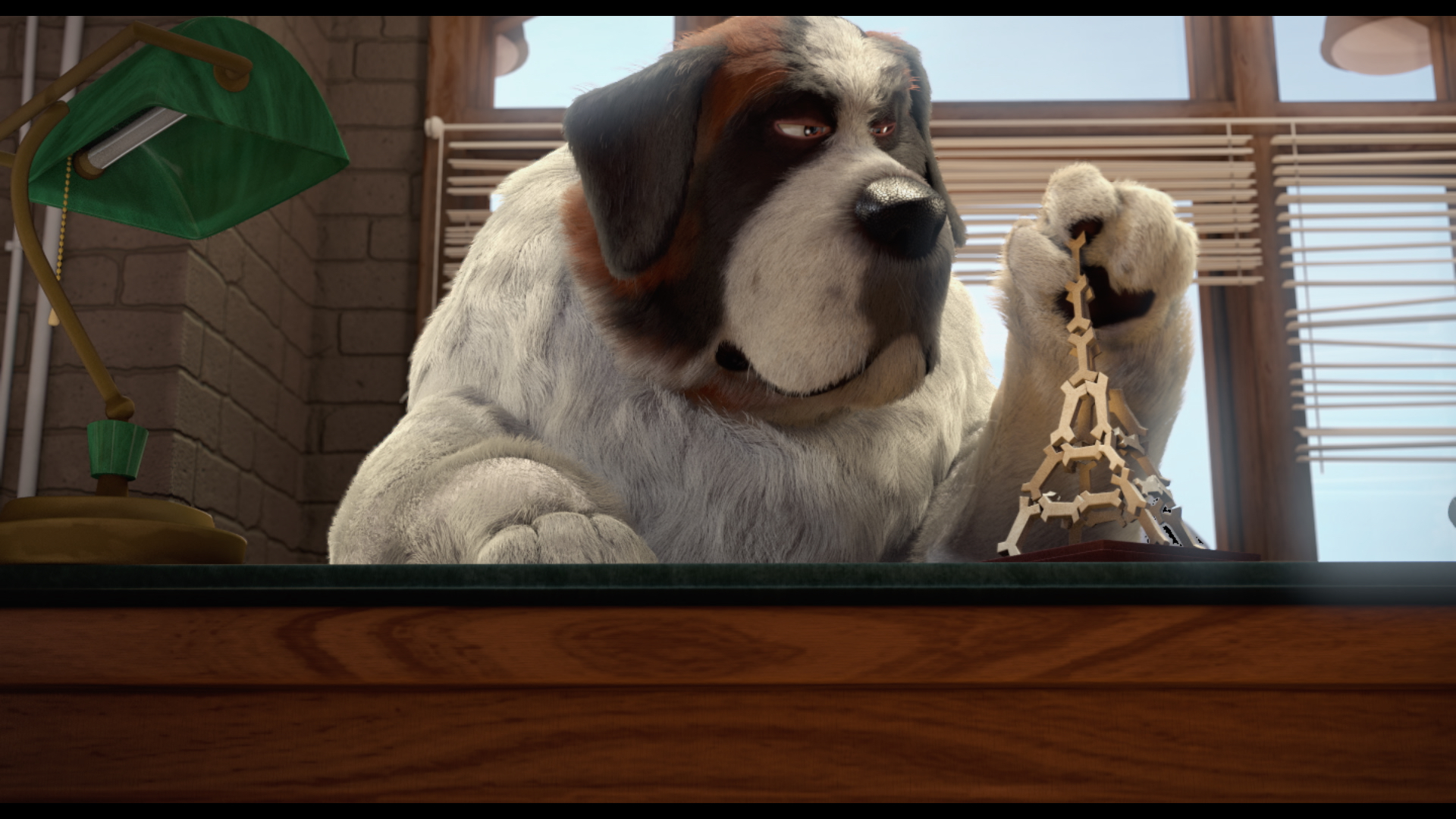 Why Is My Dog Grunting