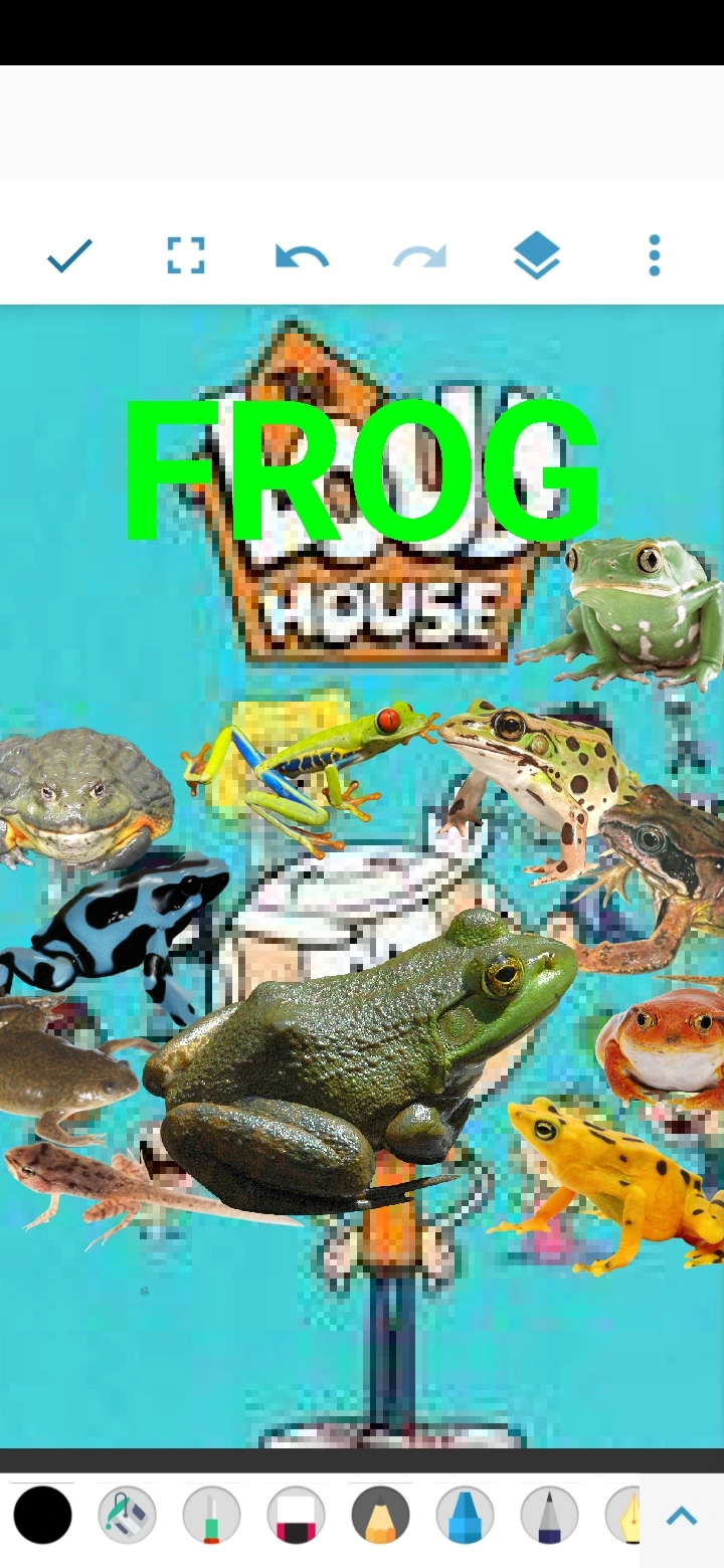 The Frog House | The Parody Wiki | Fandom