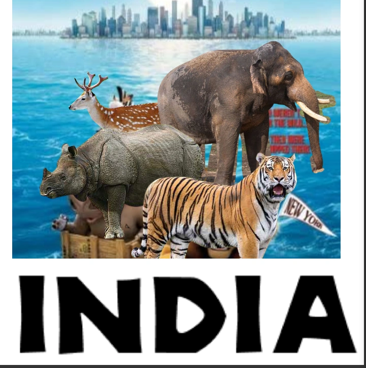 India (Madagascar) Series | The Parody Wiki | Fandom