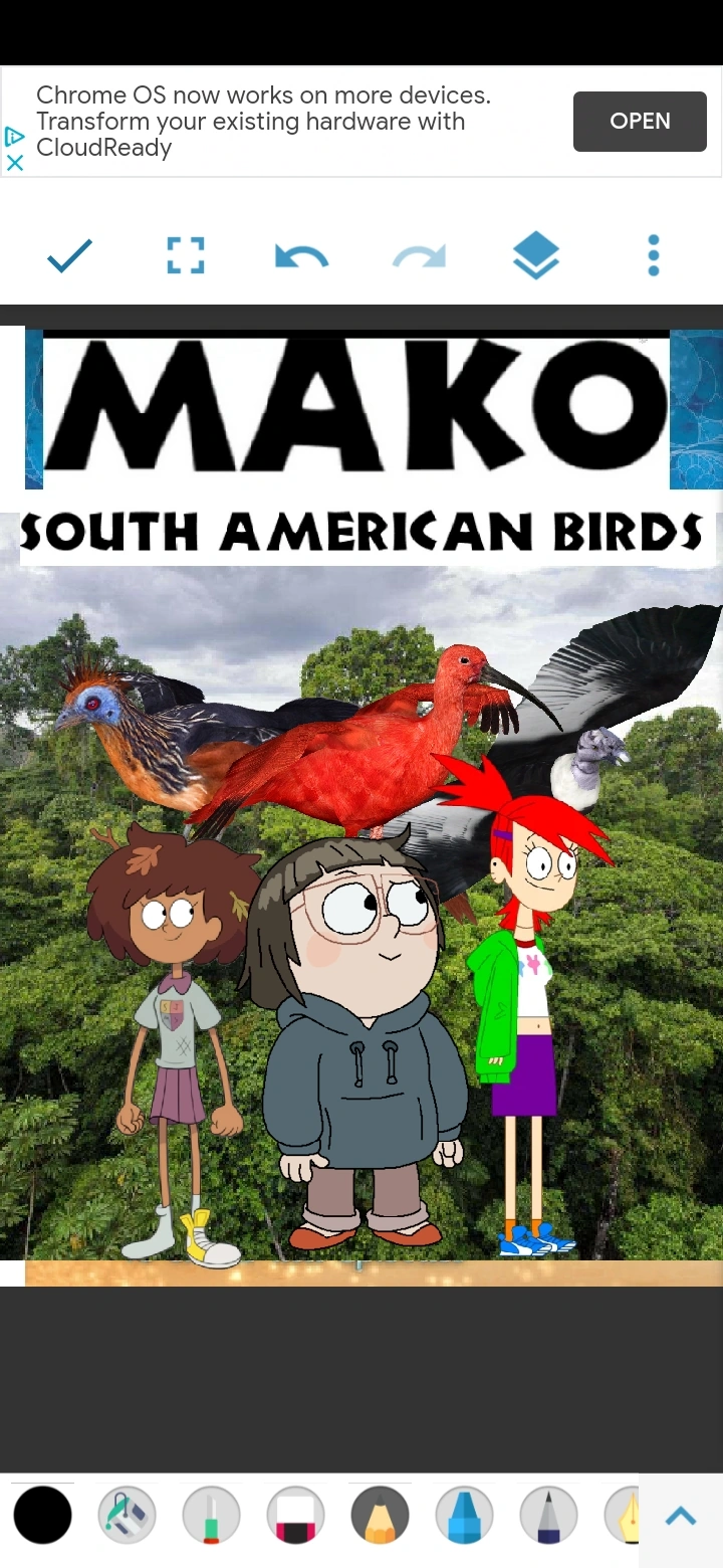 Mako South American Birds | The Parody Wiki | Fandom