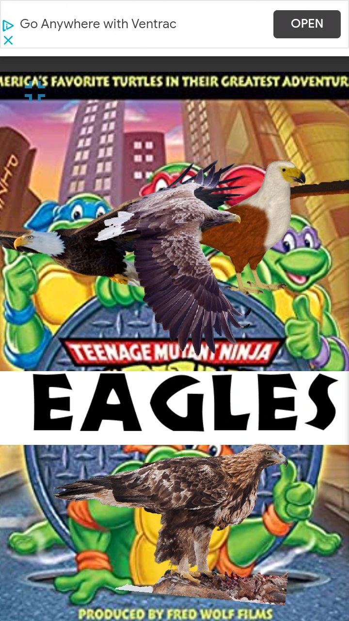 Teenage Mutant Ninja Eagles | The Parody Wiki | Fandom