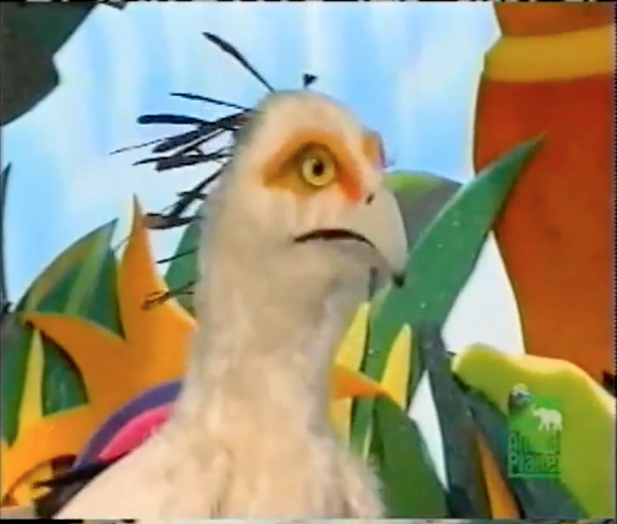 Kyle the Secretary Bird/Gallery | The Parody Wiki | Fandom