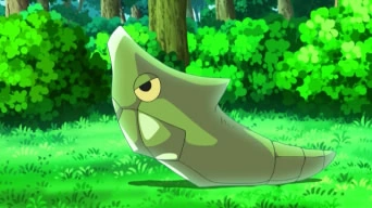 Metapod | The Parody Wiki | Fandom