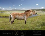 Cenozoic Animals, Inc. | The Parody Wiki | Fandom