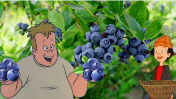 Dora The Explorer Berry Hunt Part 1