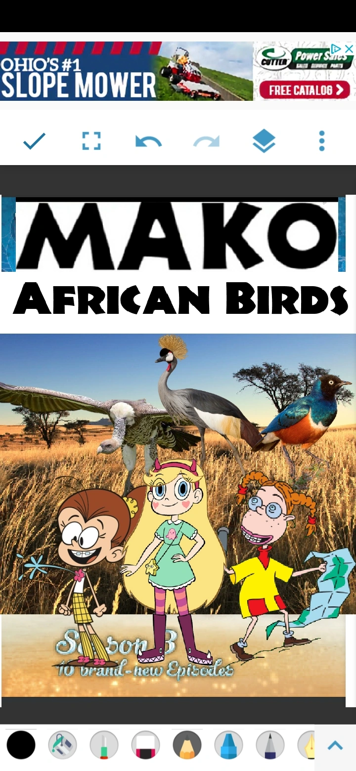 Mako African Birds | The Parody Wiki | Fandom