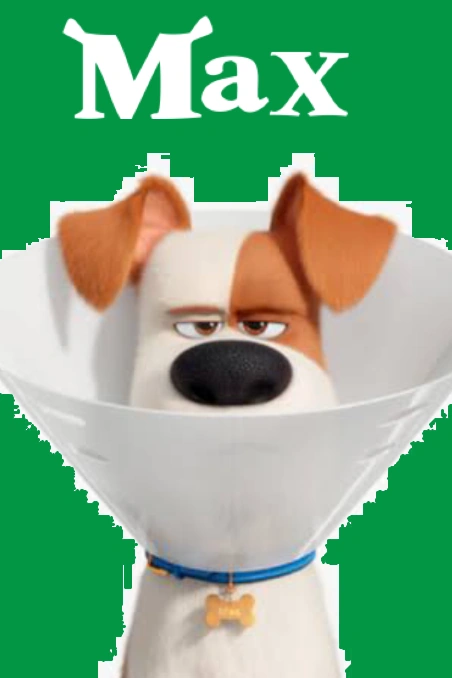 Category:Max (Sherk) | The Parody Wiki | Fandom