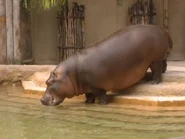 List of Species in Barney and Friends | The Parody Wiki | Fandom