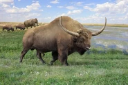 Cenozoic Animals, Inc. | The Parody Wiki | Fandom