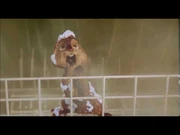 Alex roar crossover | The Parody Wiki | Fandom