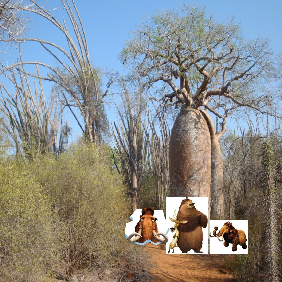 Open Season/Madagascar | The Parody Wiki | Fandom