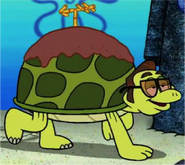 List of Species in SpongeBob SquarePants | The Parody Wiki | Fandom
