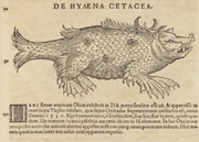Sea Swine | The Parody Wiki | Fandom