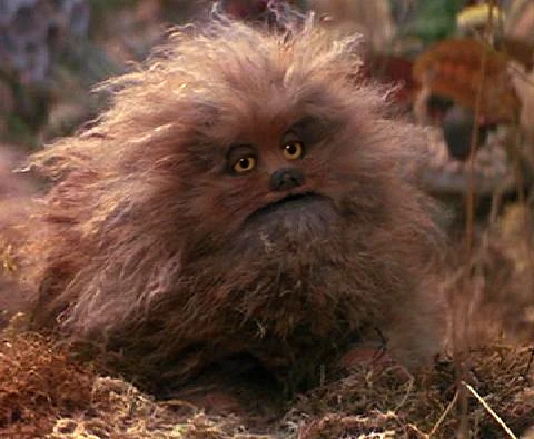 Fizzgig | The Parody Wiki | Fandom