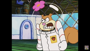 Sandy Cheeks | The Parody Wiki | Fandom