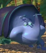 Dim | The Parody Wiki | Fandom