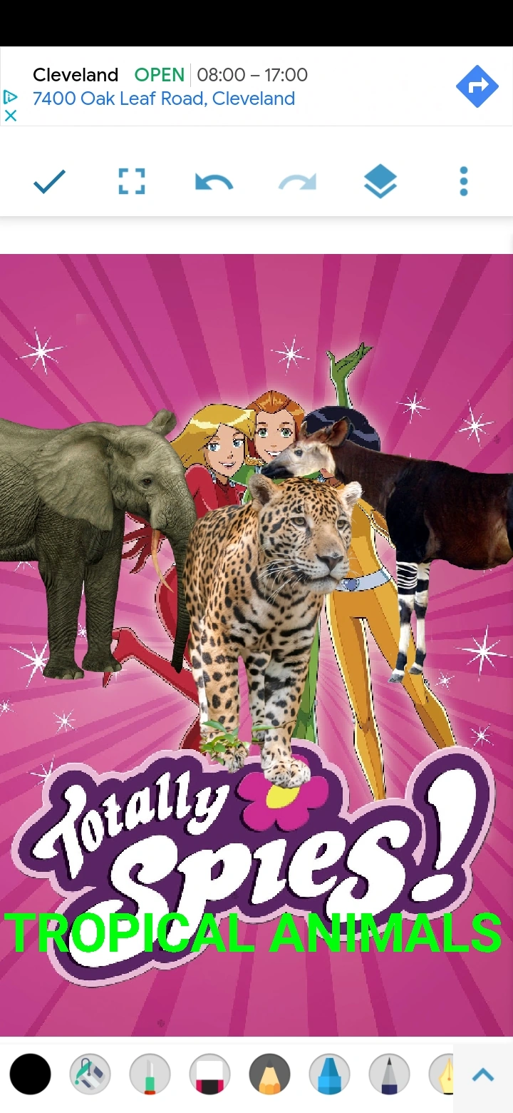 Totally Tropical Animals | The Parody Wiki | Fandom