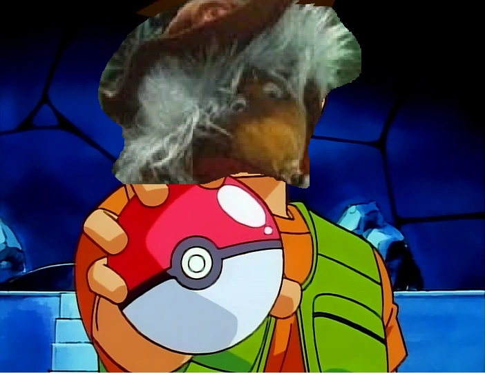 Showdown in Pewter City (Pokemon (TheBluesRockz Animal Style)) | The ...