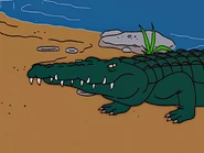 Saltwater Crocodile | The Parody Wiki | Fandom