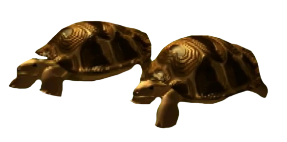 Tortoises (Teletubbies) | The Parody Wiki | Fandom