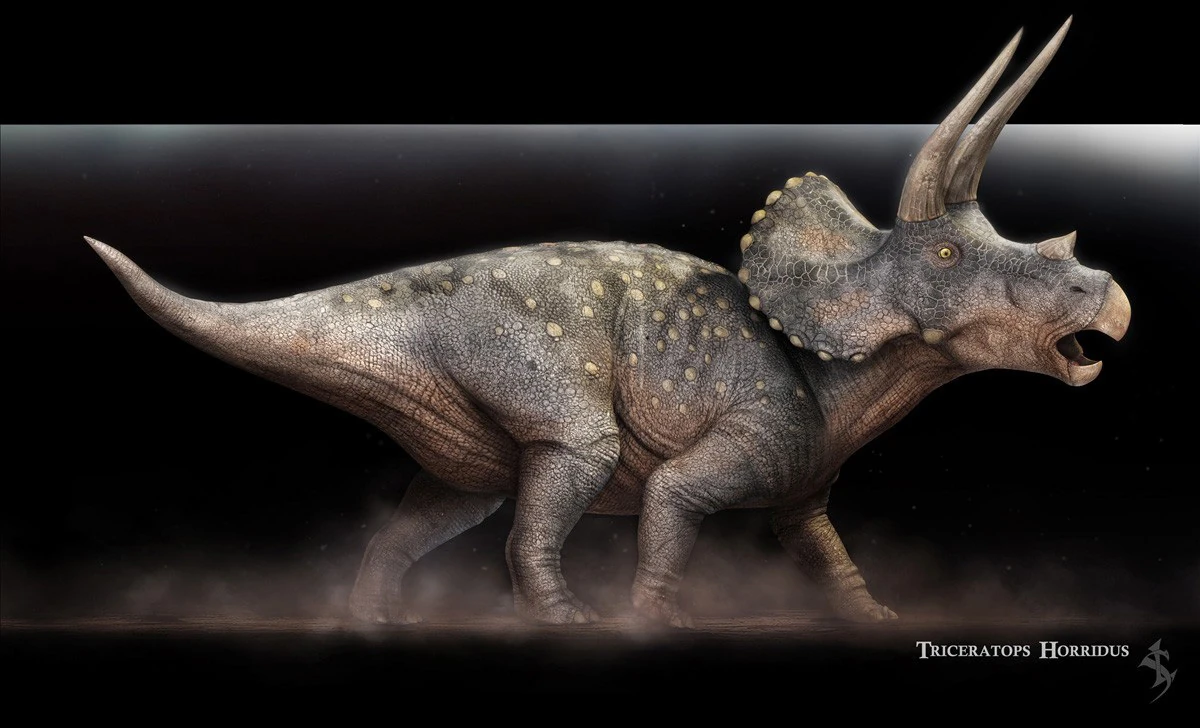 The Dinosaur King Franchise (NatureRules1 and Samwei1234 Style) | The ...