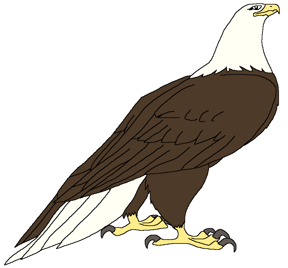 Jewel the Eagle | The Parody Wiki | Fandom