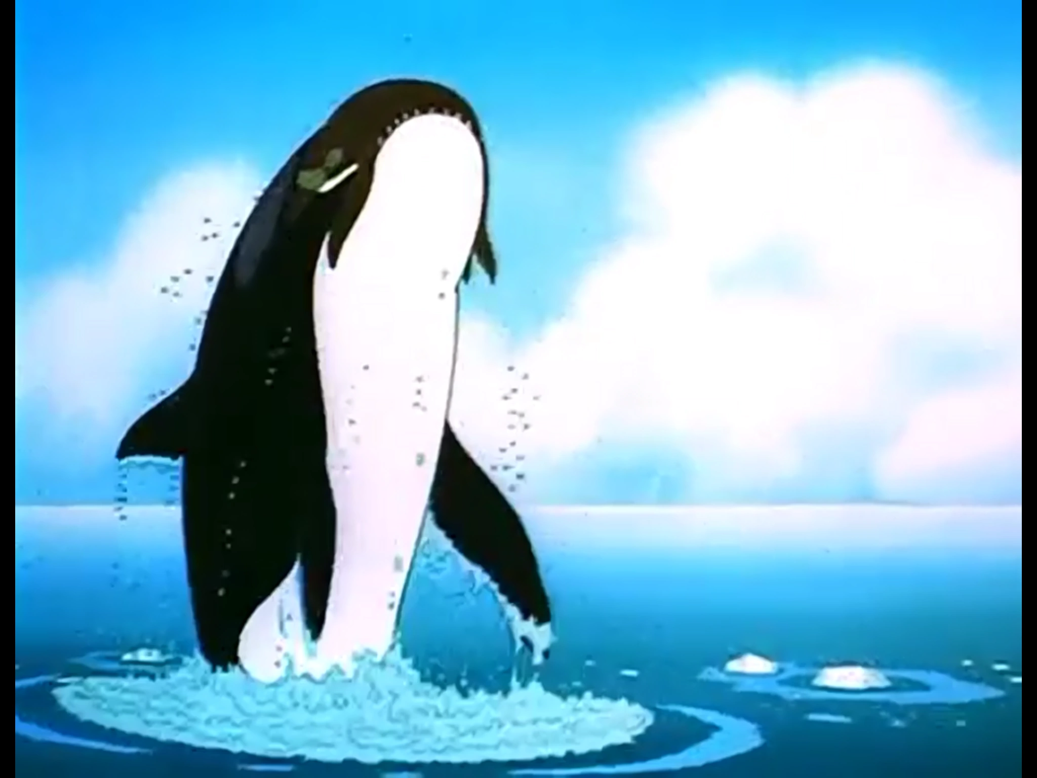 Orca Whale Penguin