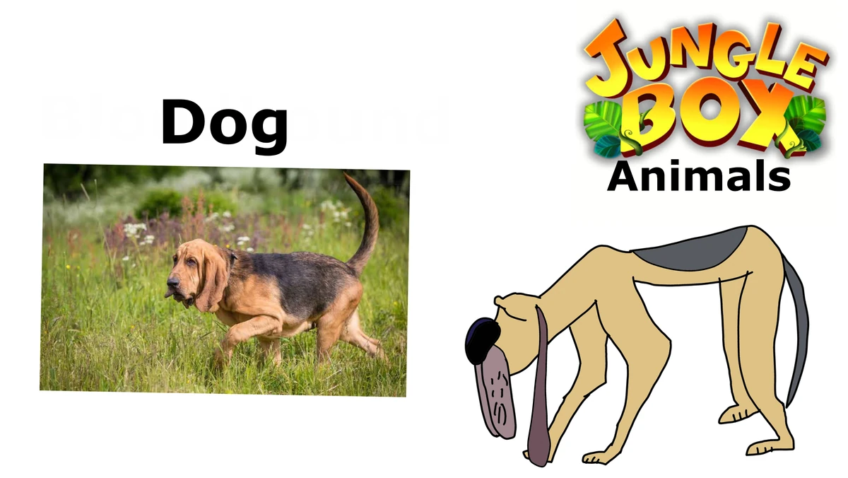Dogs (Jungle Box) | The Parody Wiki | Fandom