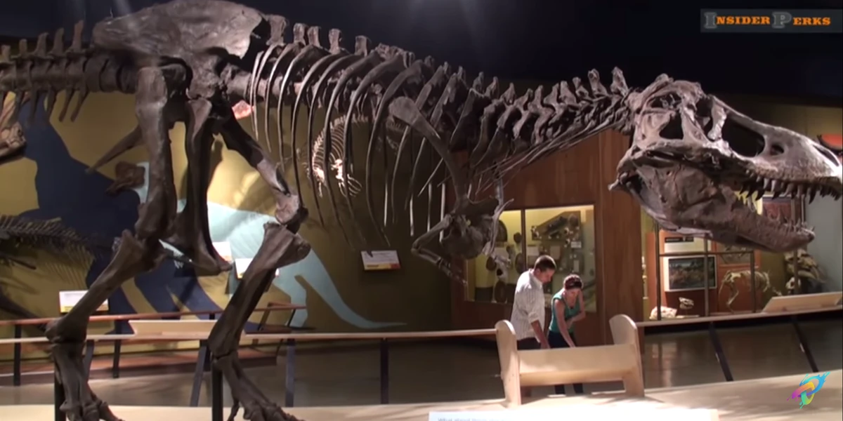 Dinosaurs United (NatureRules1 and GavenLovesAnimals Style) | The ...