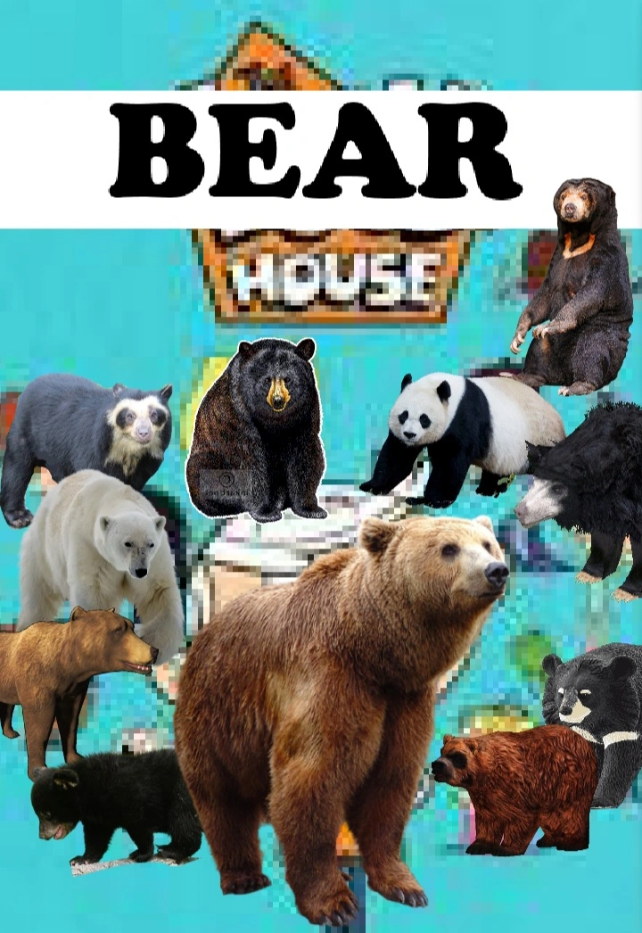 The Bear House | The Parody Wiki | Fandom