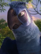 Eduardo (Rio 2) | The Parody Wiki | Fandom