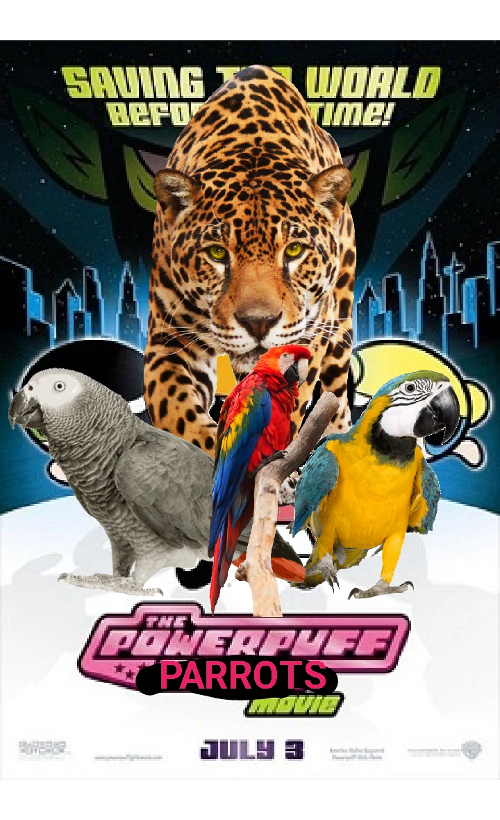 The Powerpuff Parrots Movie | The Parody Wiki | Fandom