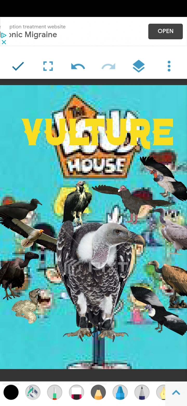 The Vulture House | The Parody Wiki | Fandom