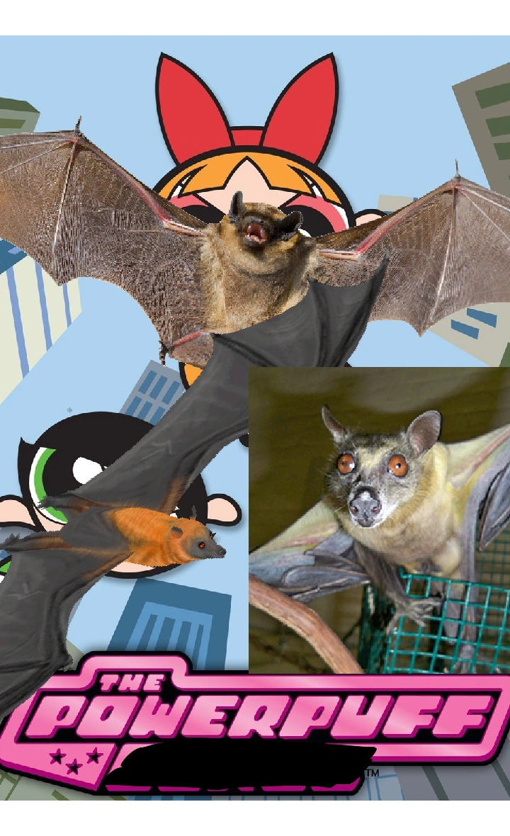 The Powerpuff Bats | The Parody Wiki | Fandom