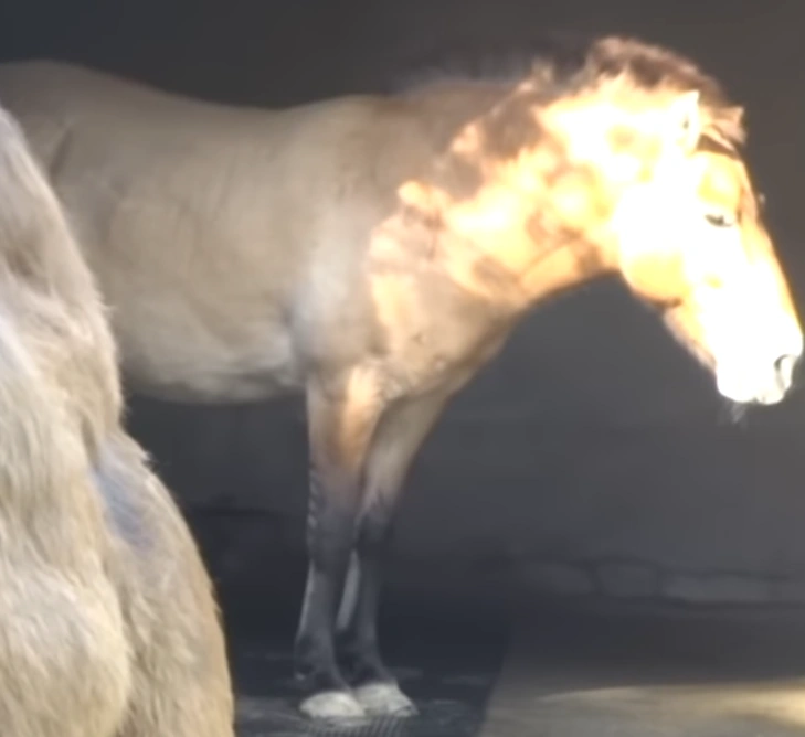 Spirit: Stallion of the Cimarron (Samwei1234 Version) | The Parody Wiki ...